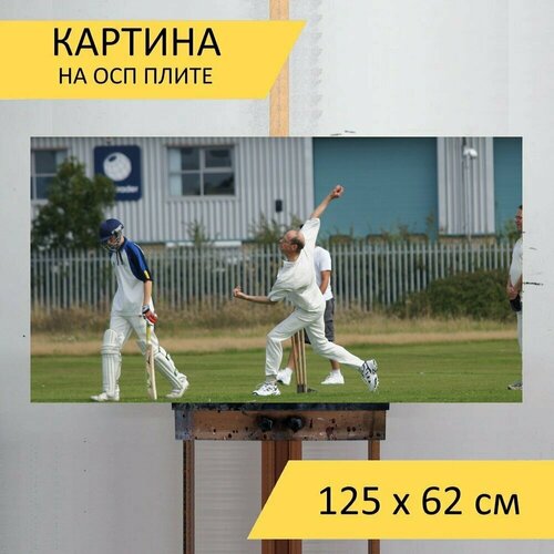 Картина на ОСП 125х62 см. "Крикет, боулинг, спорт" горизонтальная, для интерьера, с креплениями