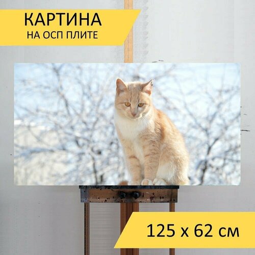 Картина на ОСП 125х62 см. "Кот, рыжий, зима" горизонтальная, для интерьера, с креплениями