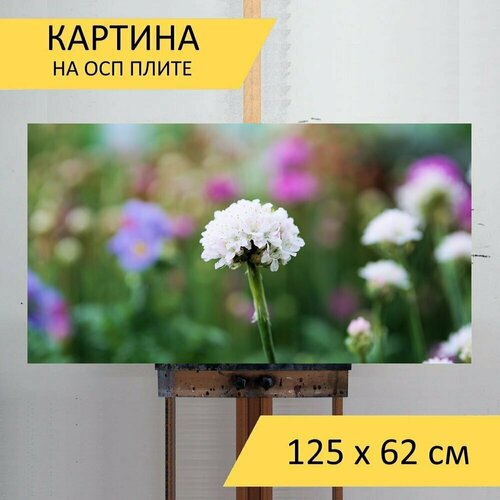 Картина на ОСП 125х62 см. "Цветок, цвести, природа" горизонтальная, для интерьера, с креплениями