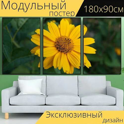 Модульный постер "Солнечный глаз, летнее солнце, желтый цветок" 180 x 90 см. для интерьера