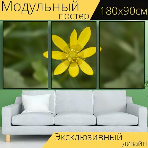 Модульный постер "Цветок, лютик, желтый" 180 x 90 см. для интерьера