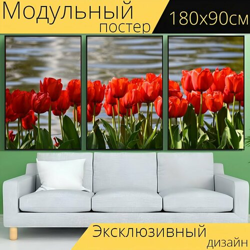 Модульный постер "Тюльпан, красный тюльпан, цветок" 180 x 90 см. для интерьера