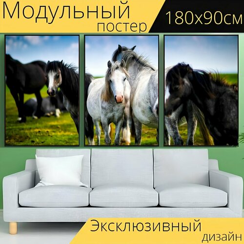 Модульный постер "Лошади, лошадь, стадо" 180 x 90 см. для интерьера