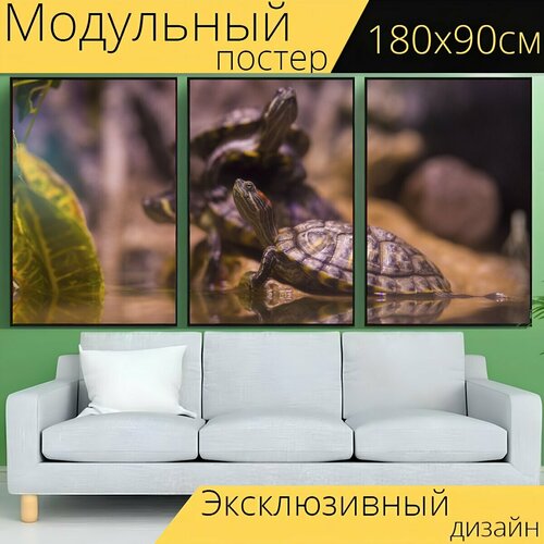 Модульный постер "Черепаха, оболочка, рептилия" 180 x 90 см. для интерьера