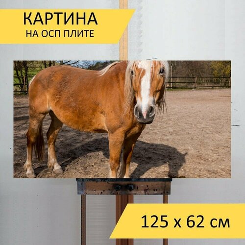 Картина на ОСП 125х62 см. "Млекопитающее, лошадь, фермерский двор" горизонтальная, для интерьера, с креплениями