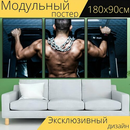 Модульный постер "Мышца, спортзал, обучение" 180 x 90 см. для интерьера