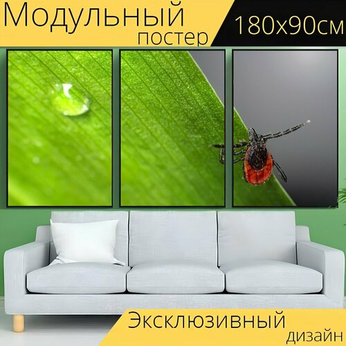Модульный постер "Поставить галочку, насекомое, паразитарные" 180 x 90 см. для интерьера