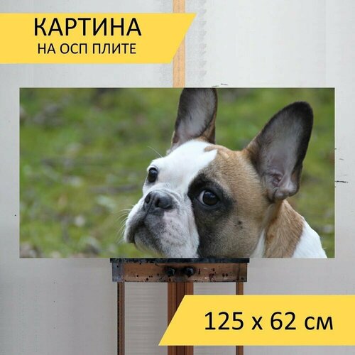 Картина на ОСП 125х62 см. "Собака, портрет, животное" горизонтальная, для интерьера, с креплениями
