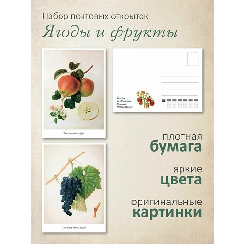 Набор почтовых открыток "Ягоды и фрукты"