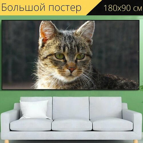 Большой постер "Кошка, домашний питомец, лицо" 180 x 90 см. для интерьера