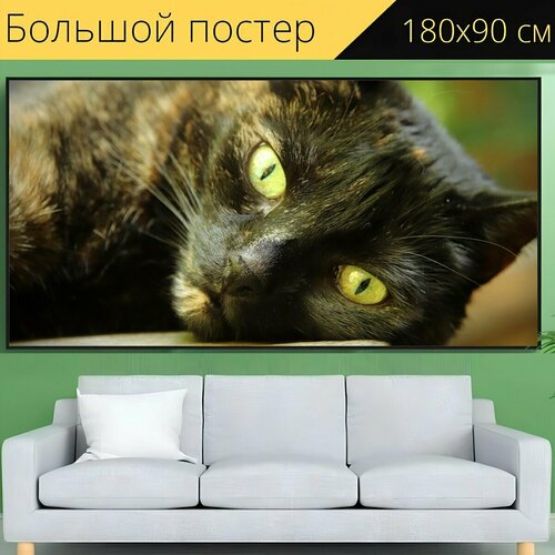 Большой постер "Кот, кошачьи глаза, черепаховый" 180 x 90 см. для интерьера