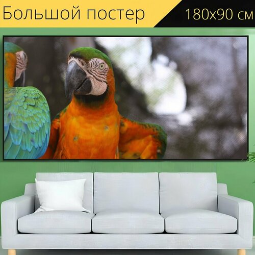 Большой постер "Попугай, животные, тропический" 180 x 90 см. для интерьера
