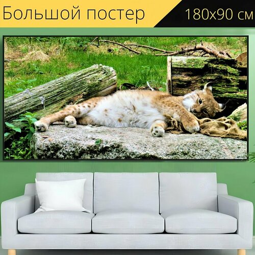 Большой постер "Рысь, зверь, кошка зверь" 180 x 90 см. для интерьера