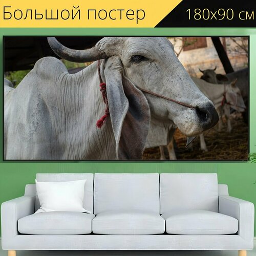 Большой постер "Корова, ферма, земледелие" 180 x 90 см. для интерьера