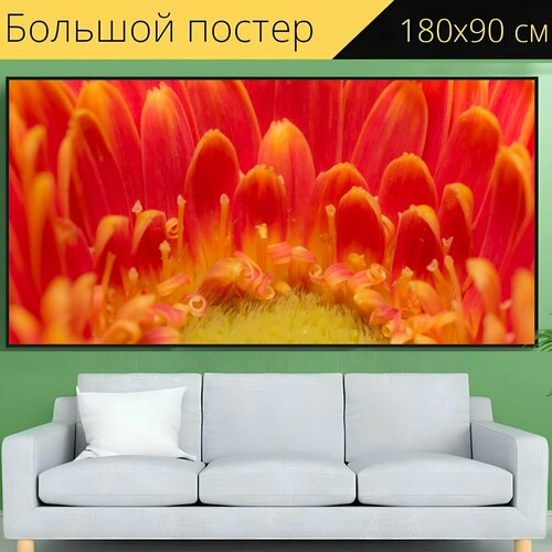 Большой постер "Апельсин, макрос, цветок" 180 x 90 см. для интерьера