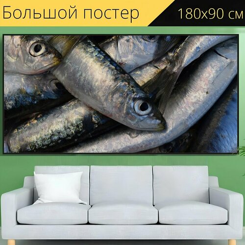 Большой постер "Сардины, рыбы, свежий" 180 x 90 см. для интерьера