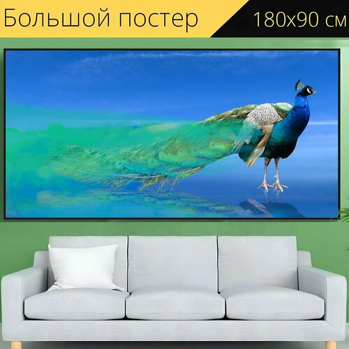 Большой постер "Дикая природа, павлин, птица" 180 x 90 см. для интерьера