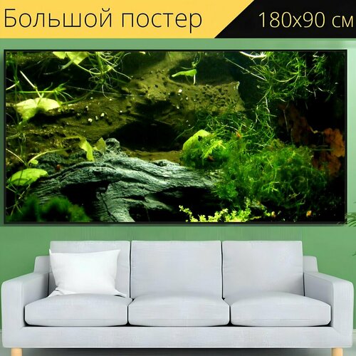 Большой постер "Аквариум, водные растения, существо" 180 x 90 см. для интерьера