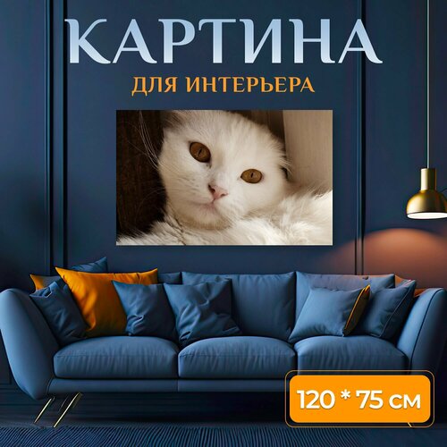 Картина на холсте "Милый, домашний питомец, кошка" на подрамнике 120х75 см. для интерьера