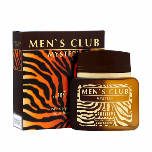 Positive parfum Парфюмерная вода мужская MEN`S CLUB MYSTERY, 90 мл