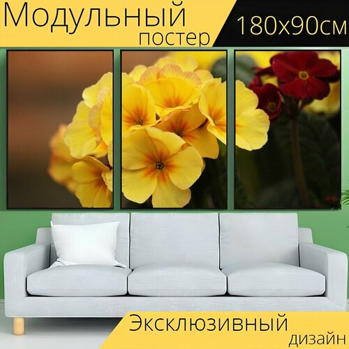 Модульный постер "Желтые примулы, весенний цветущий, первоцветы" 180 x 90 см. для интерьера
