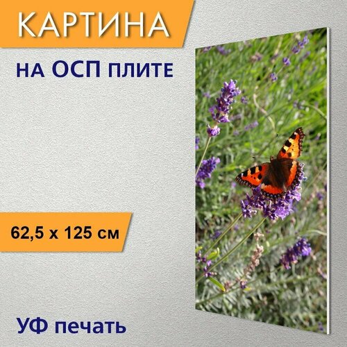 Вертикальная картина на ОСП "Бабочка, лаванда, сад" 62x125 см. для интерьериа