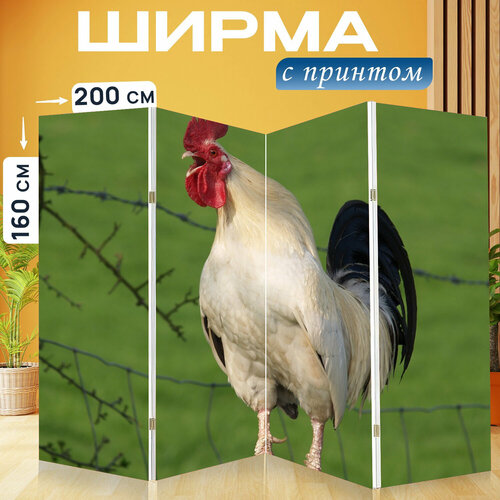 Ширма перегородка с принтом "Петух, курица, птица" на холсте - 200x160 см. для зонирования, раскладная