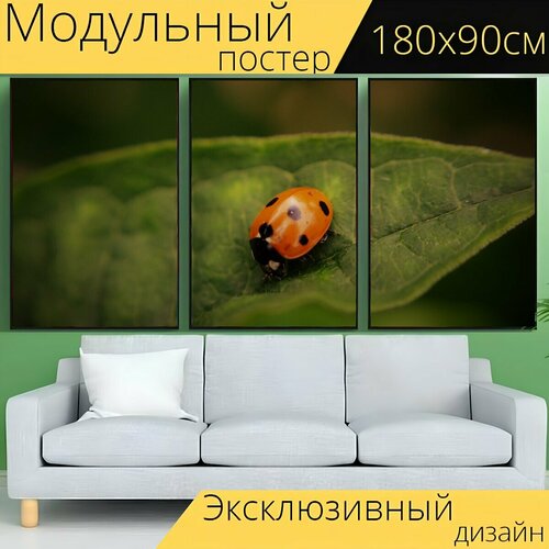 Модульный постер "Божья коровка, насекомое, природа" 180 x 90 см. для интерьера