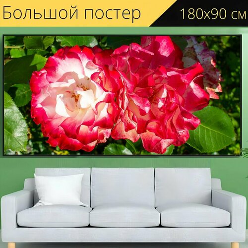 Большой постер "Розовый, сад, цветок" 180 x 90 см. для интерьера