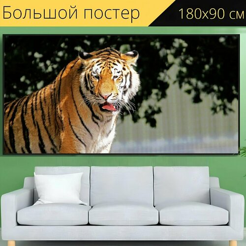 Большой постер "Тигр, большой кот, большой" 180 x 90 см. для интерьера