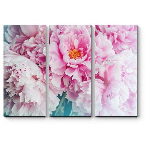 Модульная картина Нежно-розовые пионы 150x108
