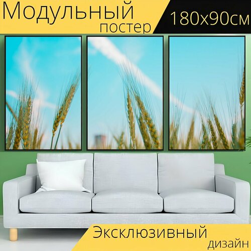 Модульный постер "Зерновой, небо, сельское хозяйство" 180 x 90 см. для интерьера
