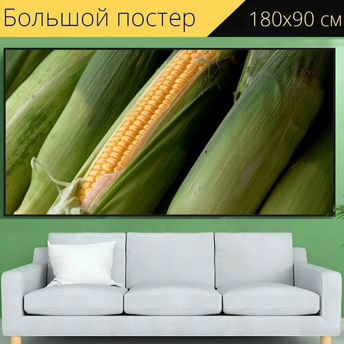 Большой постер "Кукуруза, початка, сладкая кукуруза" 180 x 90 см. для интерьера