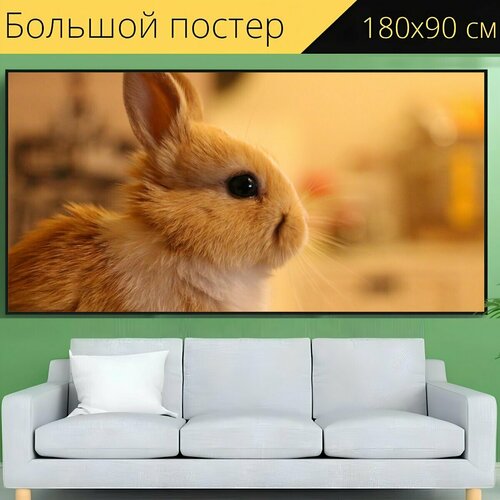 Большой постер "Кролик, животное, мило" 180 x 90 см. для интерьера