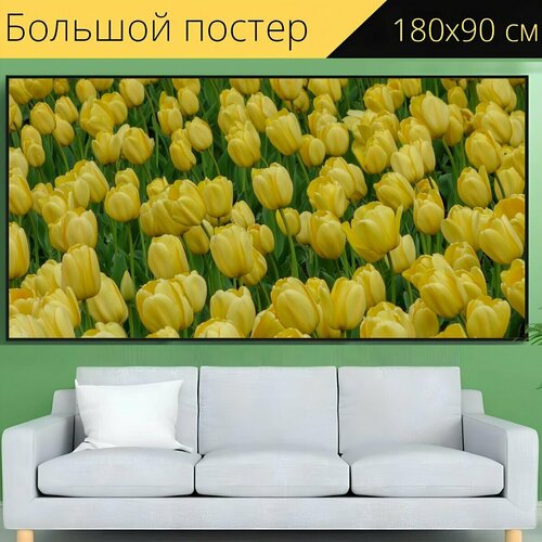 Большой постер "Тюльпан, тюльпаны, цветок" 180 x 90 см. для интерьера