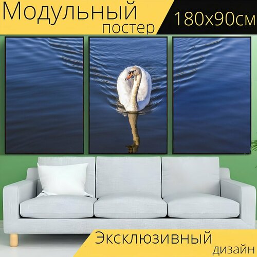 Модульный постер "Лебедь, птица, озеро" 180 x 90 см. для интерьера