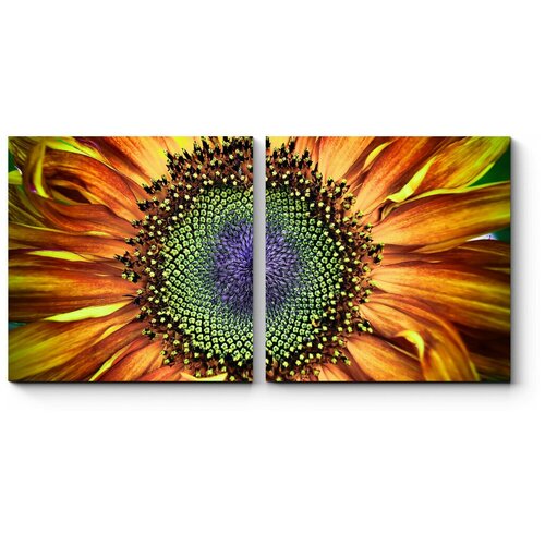 Модульная картина Внутри цветка солнца 150x75