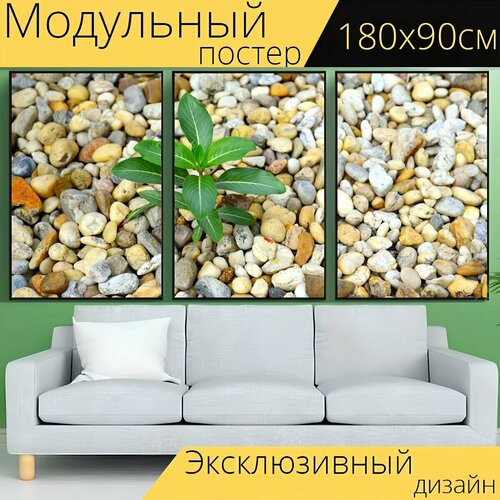 Модульный постер "Саженцы, небольшой, галька и камни" 180 x 90 см. для интерьера