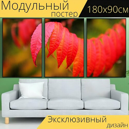 Модульный постер "Листья, вен, осень" 180 x 90 см. для интерьера