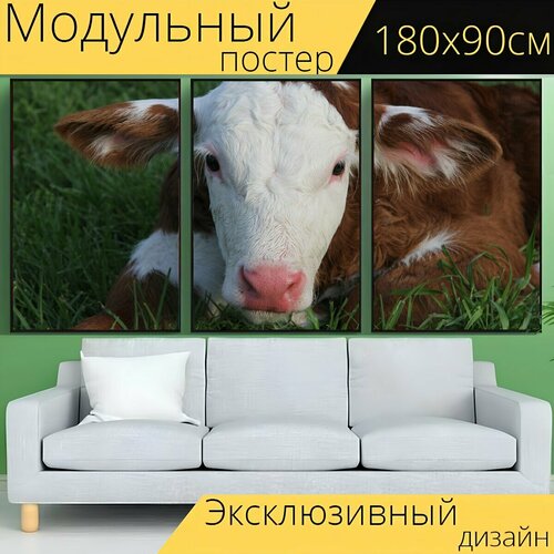 Модульный постер "Телец, корова, крупный рогатый скот" 180 x 90 см. для интерьера