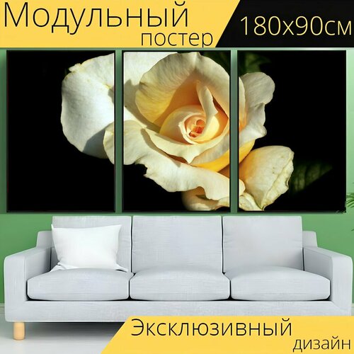 Модульный постер "Роуз, цветок, романтичный" 180 x 90 см. для интерьера