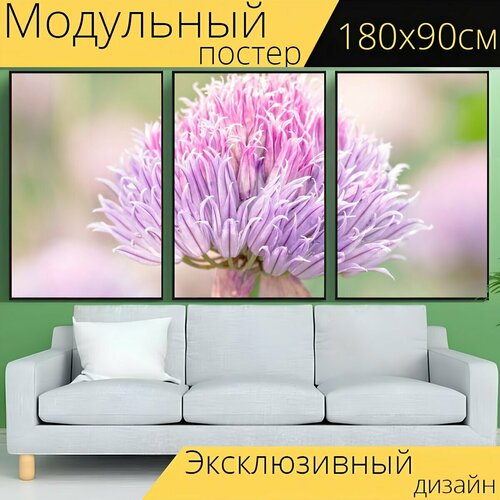 Модульный постер "Чеснок, цвести, сад" 180 x 90 см. для интерьера