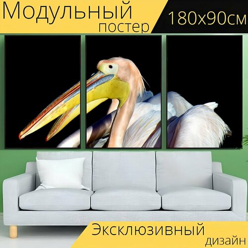 Модульный постер "Пеликан, водоплавающая птица, розовый пеликан" 180 x 90 см. для интерьера