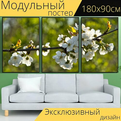 Модульный постер "Расцветает, кустарник, весна" 180 x 90 см. для интерьера