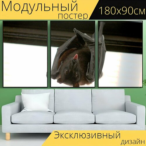 Модульный постер "Летучая мышь, летающий лис, вампир" 180 x 90 см. для интерьера