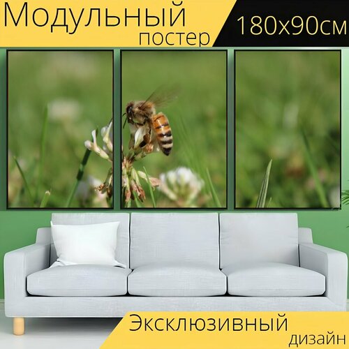 Модульный постер "Пчела, луг, природа" 180 x 90 см. для интерьера