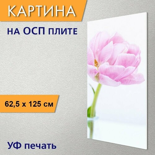 Вертикальная картина на ОСП "Пион, тюльпаны, цветок" 62x125 см. для интерьериа