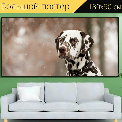 Большой постер "Далматинец, собака, снег" 180 x 90 см. для интерьера
