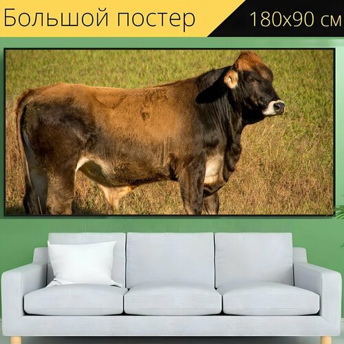 Большой постер "Бык, корова, крупный рогатый скот" 180 x 90 см. для интерьера