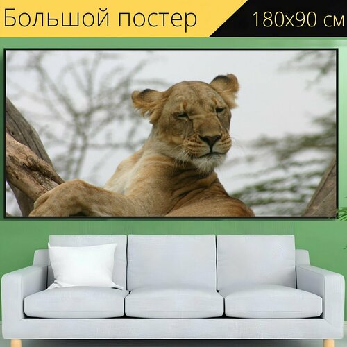 Большой постер "Лев, львица, африке" 180 x 90 см. для интерьера